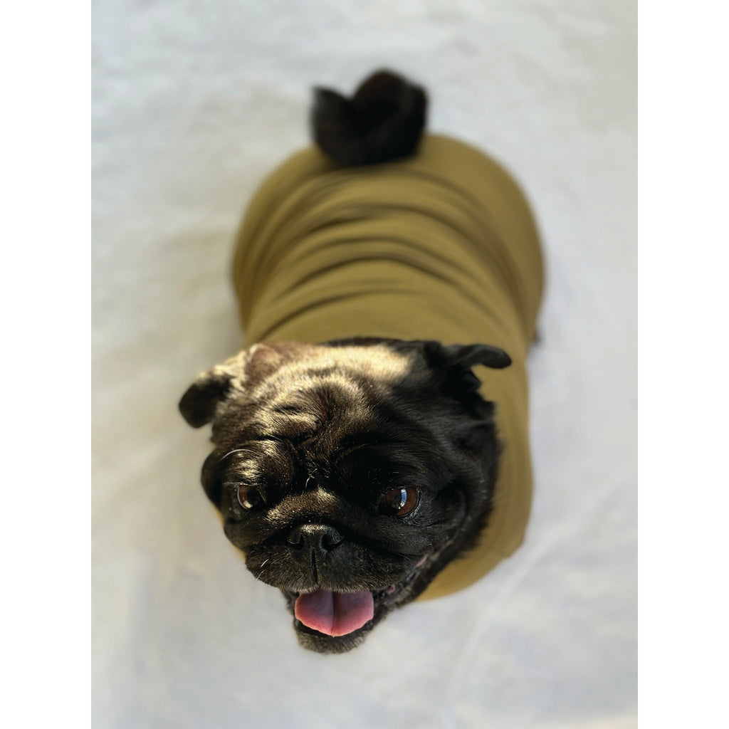 Pug Products – Pugpod