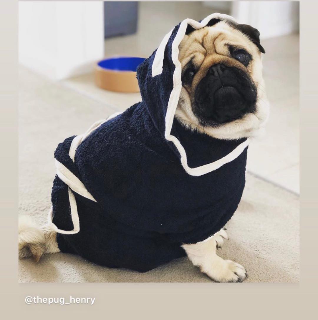 PUG DOG ROBE – Pugpod